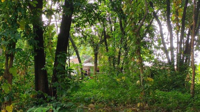 KONDISI Rumah Nenek Pegi setelah Terduga Pembunuh Vina Cirebon Itu ... KONDISI Rumah Nenek Pegi setelah Terduga Pembunuh Vina Cirebon Itu ...