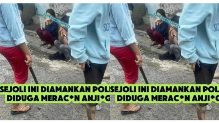 Sepasang Kekasih di Depok Bunuh Anjing hingga Diamuk, Bangkainya Dibungkus Jaket dari Jemuran ...