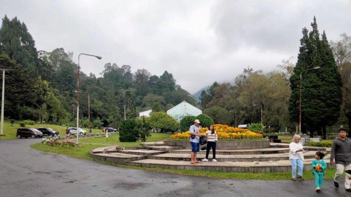 Musim Libur Tahun Baru 2023 Kebun Raya Cibodas Cianjur Sepi Pengunjung ...