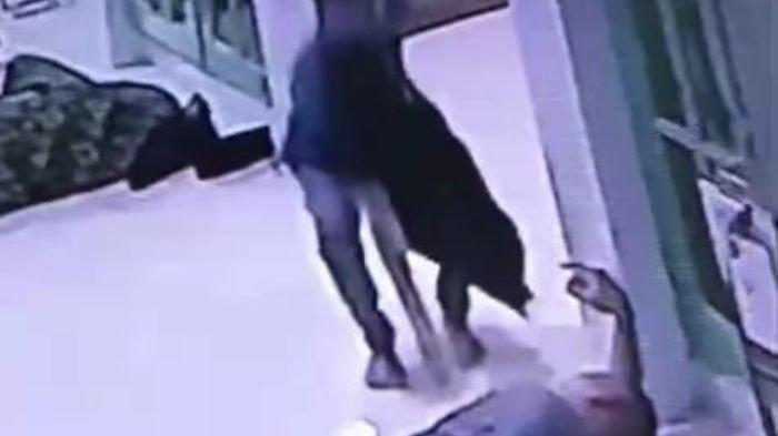 Maling Beraksi di RSUD Jombang Terekam CCTV, Targetkan Keluarga Pasien yang Tertidur ...