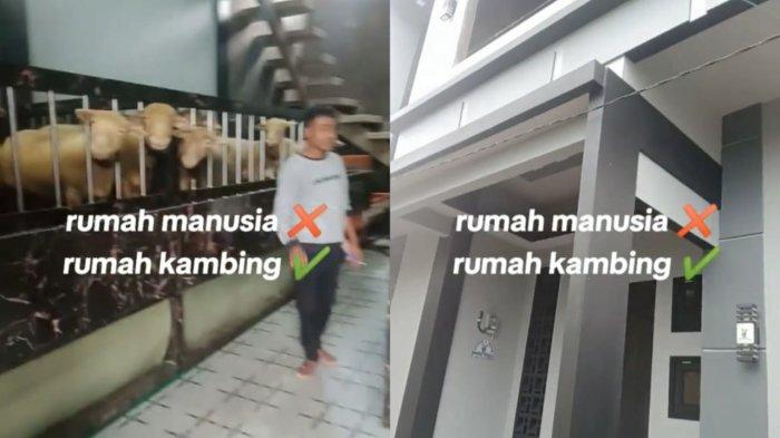 Viral, Penampakan Rumah Mewah Dua Tingkat Isinya Kandang Kambing ...