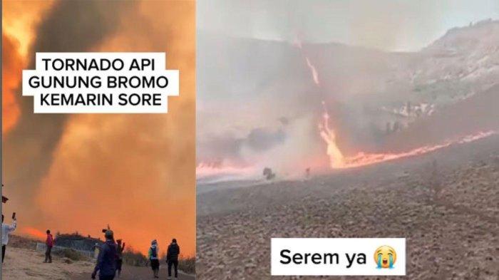Kebakaran di Bromo Makin Meluas hingga Muncul Api Tornado di Hutan ...