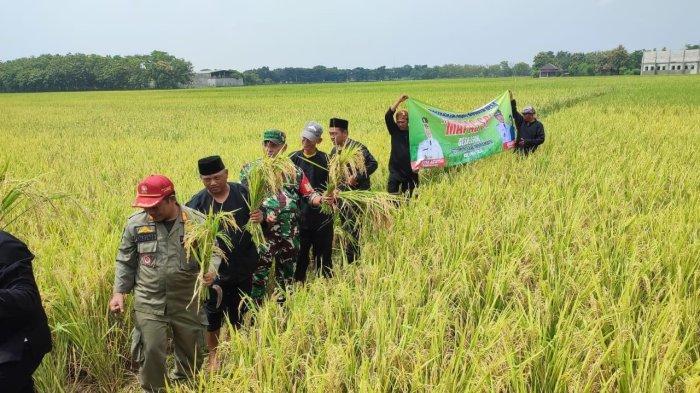 Upacara Adat Mapag Sri, Tak Pernah Terputus dari Generasi ke Generasi ...