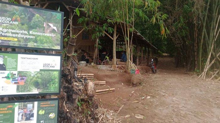 Wisata Ekologi ke Udjo Ecoland di Bandung, Belajar Konservasi Bambu hingga Bisa Nabung Qurban ...