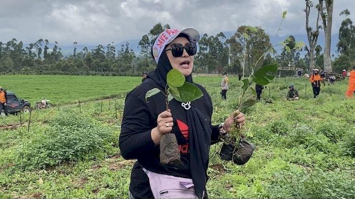 Hidup dari Perkebunan Teh di Pangalengan, Wulan Miris Kebun Jadi Gundul ...