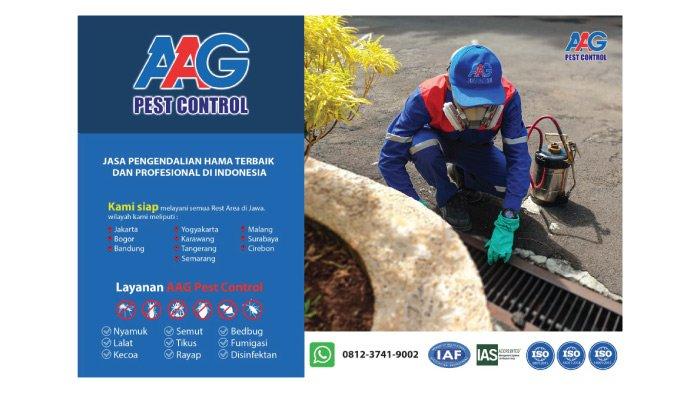 Cari Jasa Pengendalian Hama yang Terpercaya? Serahkan kepada AAG Pest ...