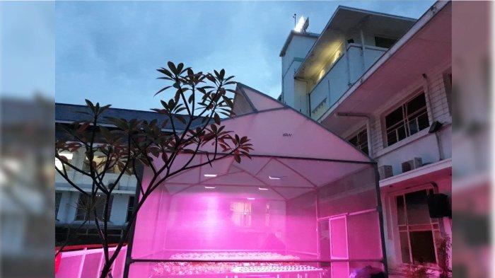 Kebun Hidroponik di Rooftop Gedung Bersejarah, di Tengah Belantara Kota ...