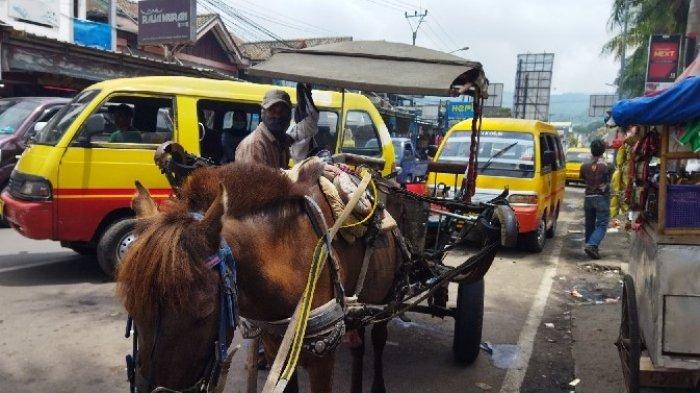 Tak Ada yang Minat Jadi Kusir, Delman di Lembang Perlahan Mulai Hilang ...