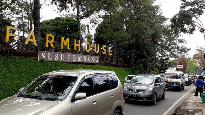 Hasilkan Susu 150 Ton per Hari, KPSBU Lembang Hanya Olah Susu 20 Persen ...