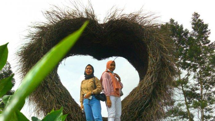 Astro Highlands, Eko Wisata Edukasi di Perkebunan Teh Ciater, Banyak ...