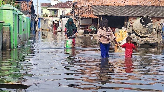 Banjir Rob di Eretan Indramayu Makin Parah, Warga Tidak Bisa Hidup Tenang Karena Tiap Hari ...