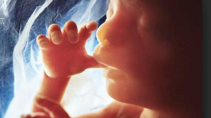 Kamu Harus Tahu! Rahim Ibu Mengembang 500 Kali Lipat dari Normal, dan ...