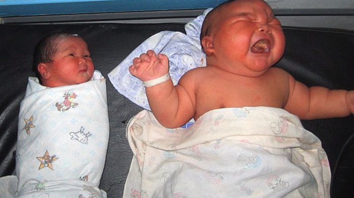 Bayi-bayi Raksasa dari Penjuru Dunia, Satu di Antaranya dari Indonesia ...