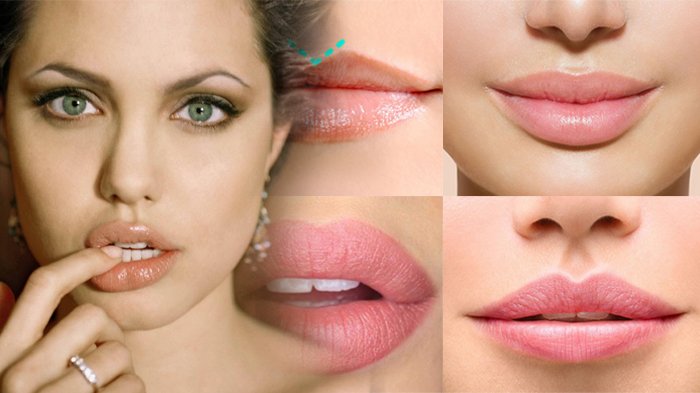 Ternyata Bentuk Bibir Bisa Mengungkap Kepribadian Seseorang, Cek Yuk ...