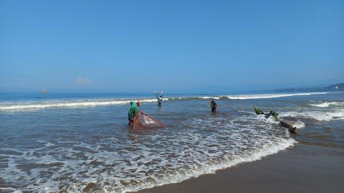 Musim Ikan Impun Sudah Dimulai di Sukabumi, Warga Berbondong-bondong ...