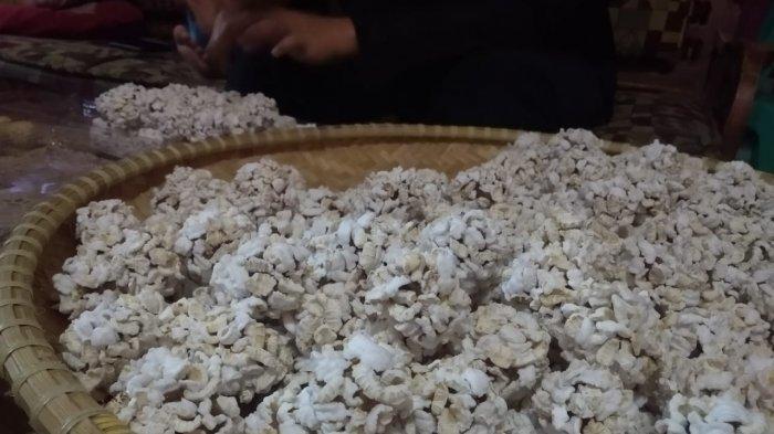 Berondong Ketan Asal Ibun, Proses Pembuatannya Tradisional yang ...