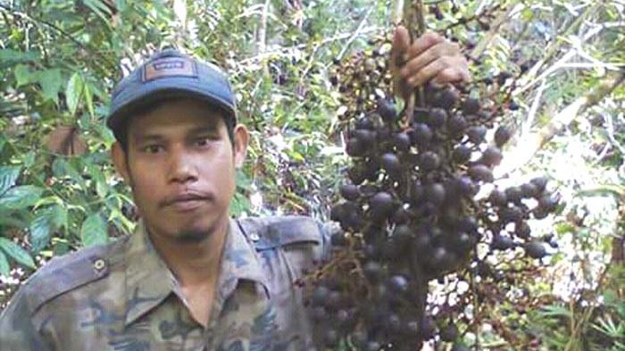 Kisah Para Pencari Darah Naga: Diadang Beruang Berpapasan dengan ...