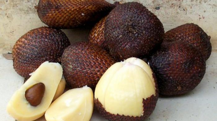 Buah, Kulit, Hingga Daun Salak Ternyata Sangat Bermanfaat untuk ...