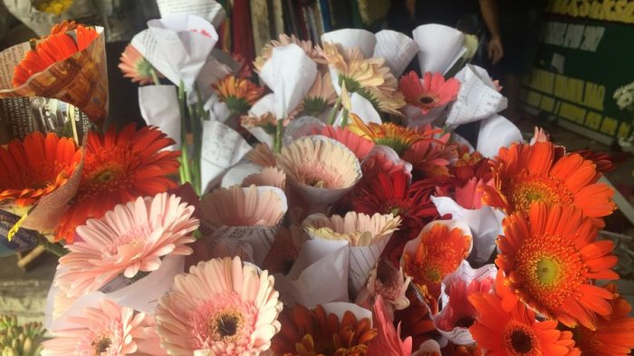 6 Bunga Murah di Pasar Palasari, Harganya Tidak Lebih dari Rp 10 Ribu ...