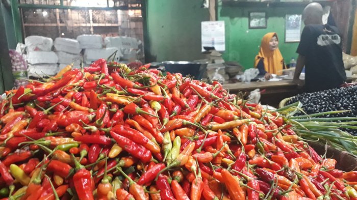Harga Cabai Rawit di Ciamis Makin Pedas, Cabai Rawit Domba Menyentuh Angka Rp 100.000 Per ...