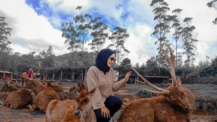 Sebagai Pengumpan bagi DDS, Rekrutlah Gelandang Kreatif Ini, Kata ...