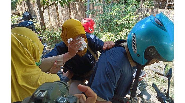 Dokter Hewan di Indramayu Diseruduk Sapi Saat Periksa Kesehatan Hewan ...