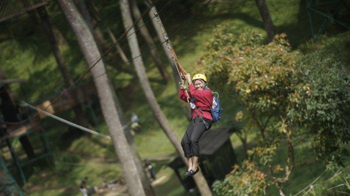 Serunya Liburan Ke Orchid Forest Cikole, Mencoba Wood Bridge Hingga ...