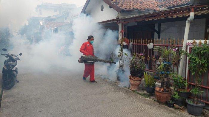Waspada, Delapan Orang Terserang Penyakit DBD, Kini Merebak di Satu Kelurahan di Kota Cimahi ...