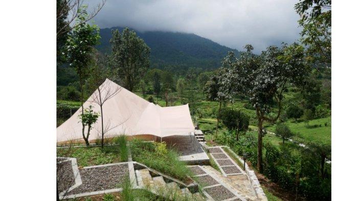 Stay cation Nuansa Alam di Glamping Gunung Mas Puncak Bogor, Nikmati ...
