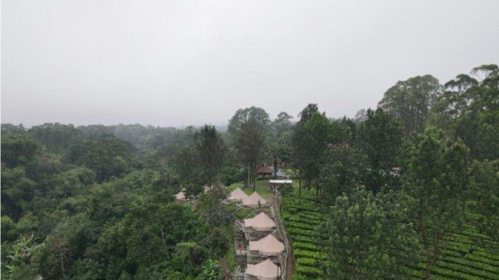 Pilihan Liburan Natal dan Tahun Baru di Gunung Mas Puncak, Ada Glamping ...