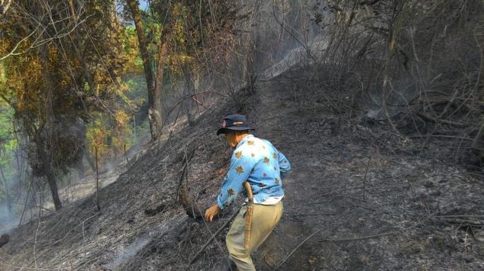 2 Hektare Hutan Gunung Burangrang Terbakar - Tribunjabar.id