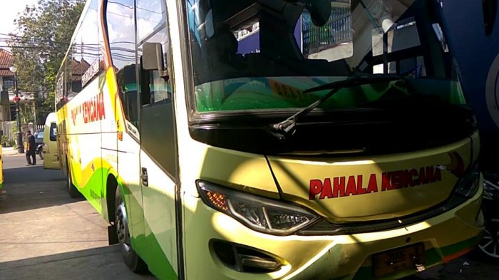 Ini 6 Perbedaan Bus Mercy dan Hino yang Kerap Anda Tumpangi Saat Mudik ...