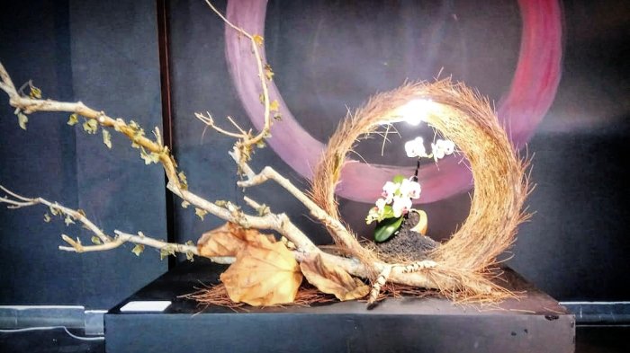 Cantik nan Filosofis, Seni Merangkai Bunga 'Ikebana' Dipertunjukkan ...