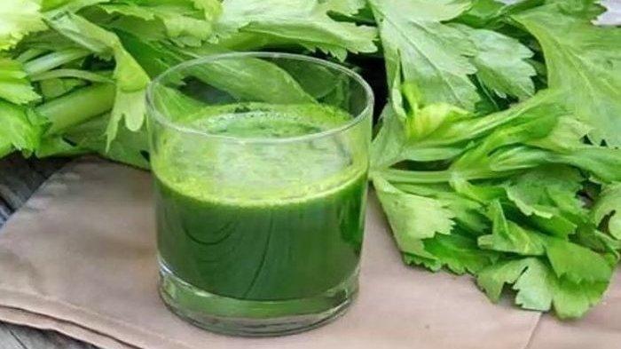 Minum Jus Seledri Tiap Pagi Bermanfaat Baik Bagi Tubuh, Cegah Kanker ...