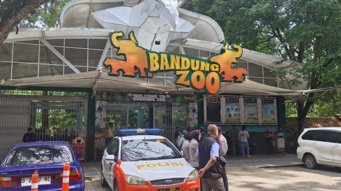 Bandung Zoo Hari Ini 3 Juli 2025 Tutup, Pengunjung Kecewa, Pengelola ...