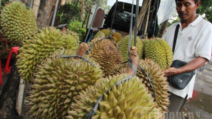Mau Durian yang Rasanya Legit dan Harganya Murah? Anda Bisa ke Rumpin ...