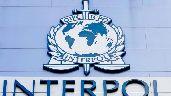 Jadi Buron Interpol, Pria Asal Amerika Serikat Malah Produksi Film ...
