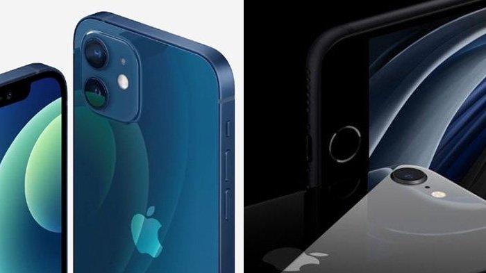 Perbandingan Spesifikasi iPhone 12 Mini dan iPhone SE 2020, Bodi Sama ...