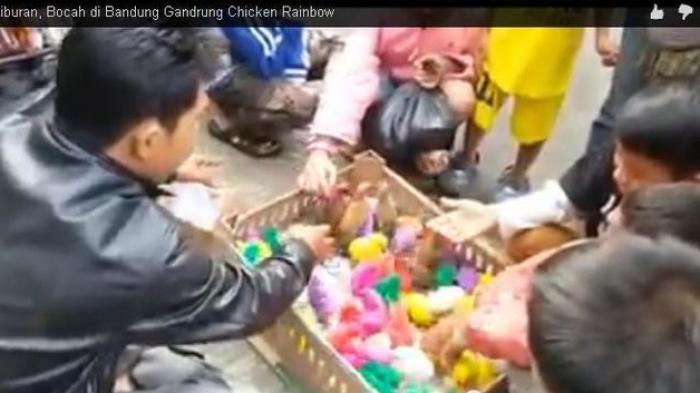 Disdik Kota Bandung Sebut Pemberian Anak Ayam ke Siswa Mengandung ...