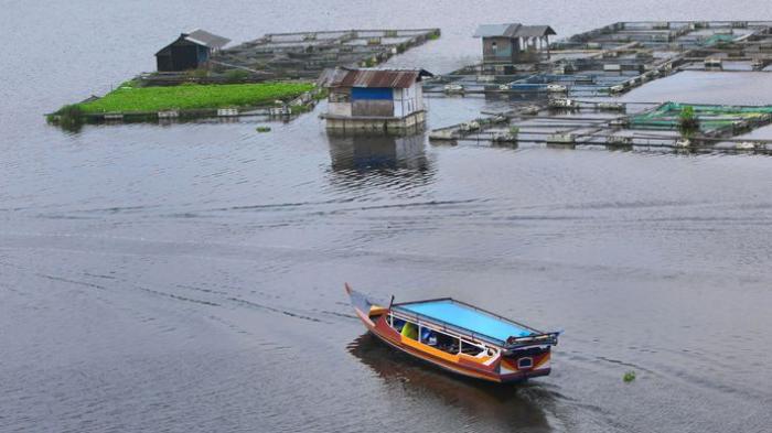 Rencana Makan di Tengah Danau Jadi Petaka, Tadi Pagi, Ahmad Tenggelam ...
