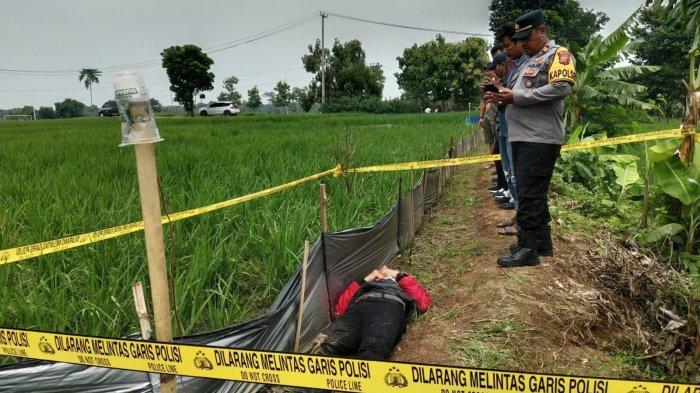 Jebakan Tikus Dilarang di Indramayu, Sudah Memakan Banyak Korban Jiwa ...