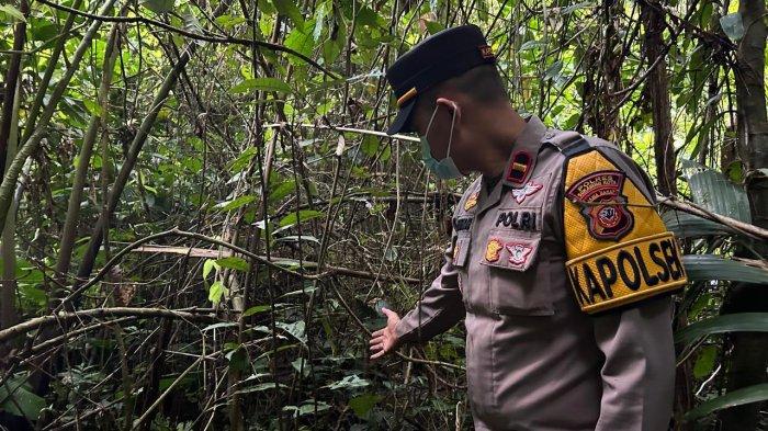 Penemuan Mayat di Hutan Dekat Obyek Wisata Situ Gunung Sukabumi, Rusak ...