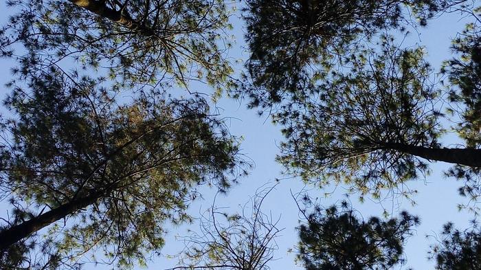 Tiga Objek Wisata di Bandung Timur yang Patut Dikunjungi Saat New ...