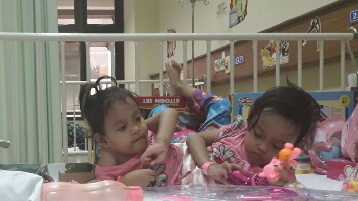Anak Kembar Siam 4 Tahun sudah Hafal Bacaan Doa-doa Pendek - Tribunjabar.id