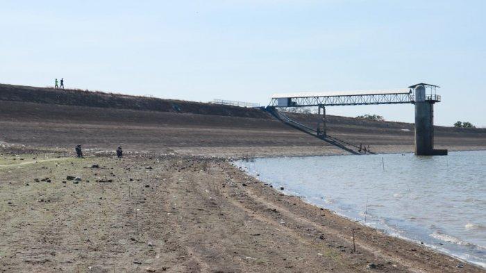 Imbas Kemarau, Volume Air Setu Patok Cirebon Menyusut, Warga Bisa ...