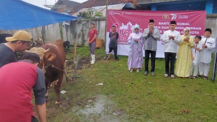 Polres Tasikmalaya Kota Kurban Puluhan Domba dan Sapi, Jadi Ajang Pererat Hubungan dengan Warga ...