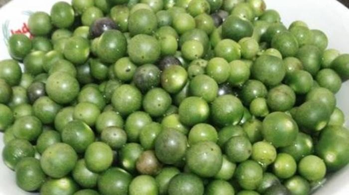 Bukan Cuma Sekedar Lalapan Makanan Khas Sunda, Leunca Ternyata Bisa ...