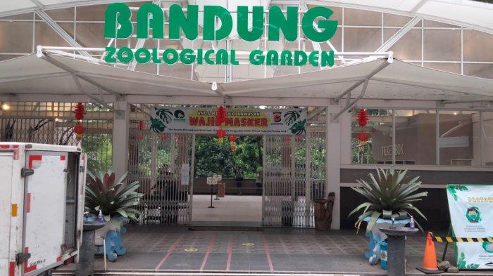 Libur Imlek Bazoga Tingkatkan Fasilitas Buat Pengunjung, Soal Atraksi ...