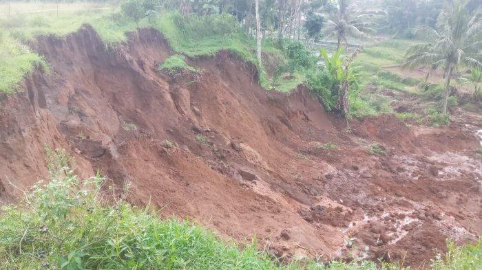 Diguyur Hujan Deras, Longsor Terjang Sawah Seluas 4,2 Hektare di Tasikmalaya, Rumah Warga ...