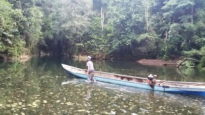 Serunya Berpetualang Menyusuri Goa Sagea Halmahera Tengah, Wajib Coba Nih! - Tribunjabar.id